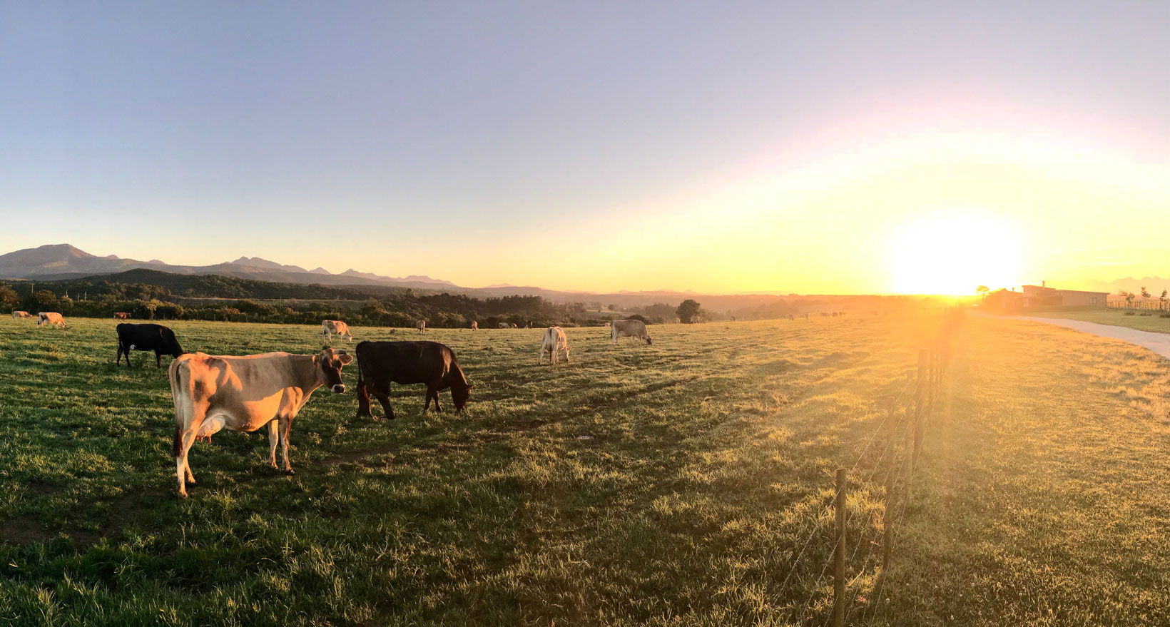 CrediCampo – Créditos para el campo